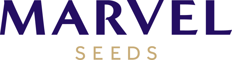 Home - marvelseeds.nl