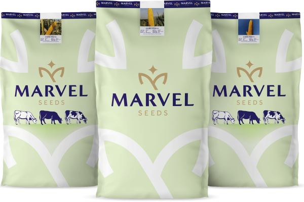 Our products - marvelseeds.nl